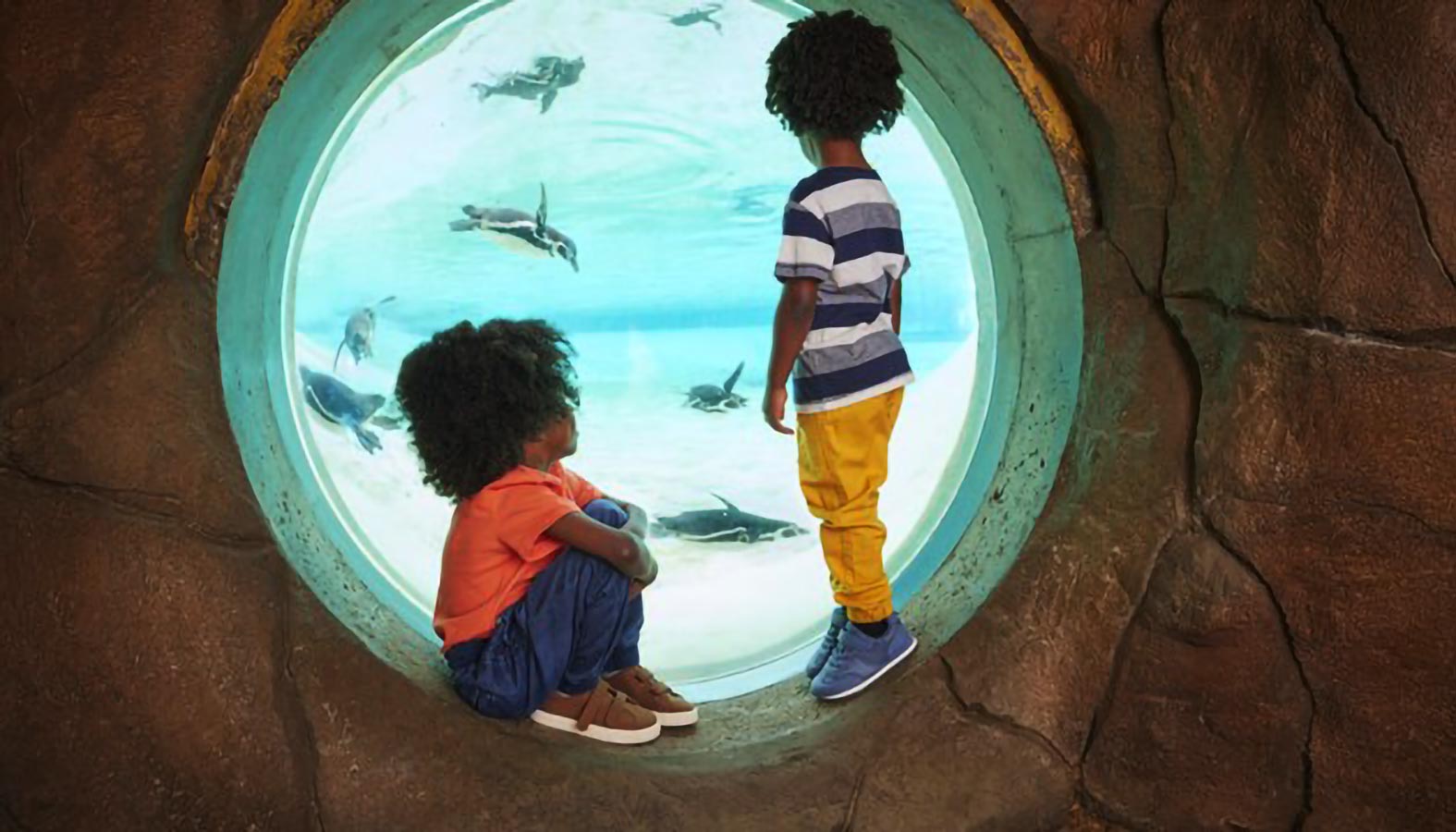 2FOR1 Offers at Hundreds of London Attractions | c2c